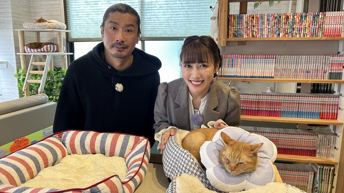 「ねこ自慢」2025年11月19日（水）の放送内容：いぬじかん ねこ自慢｜BS-TBS